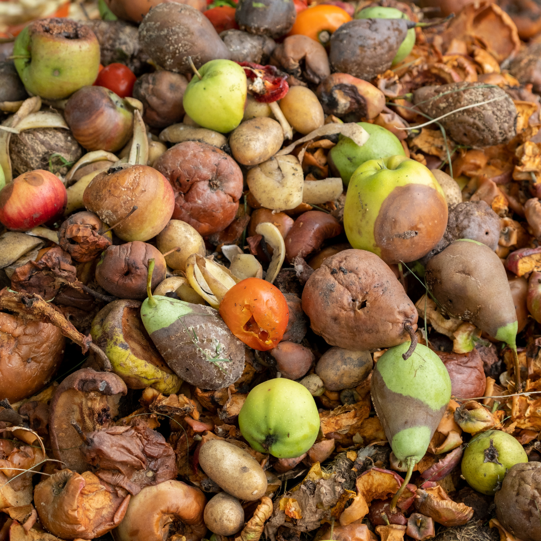 Organic Waste – Ecrops