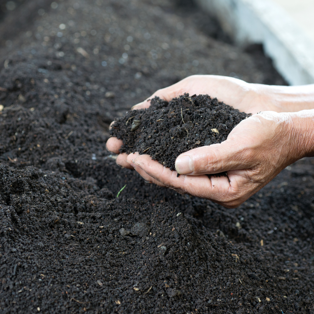 Organic Waste – Ecrops